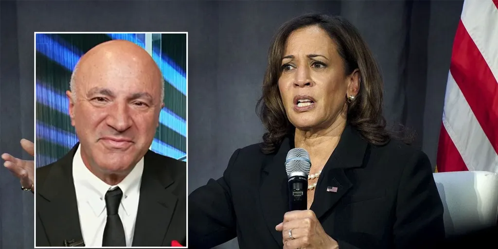 'Shark Tank' Star Reveals What Kamala Harris Won't Be Able Hide Much ...
